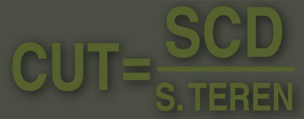 Indicatori urbanistici POT și CUT | Cad-On | Firma de Proiectare si ...